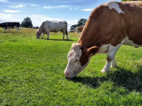 Events Stroud Valleys Project