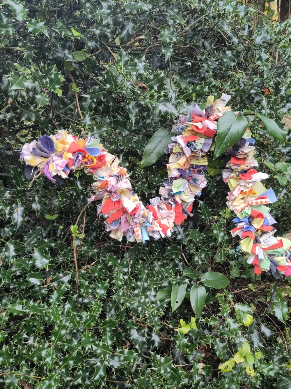 Events — Stroud Valleys Project