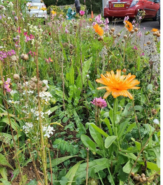 Previous Projects — Stroud Valleys Project