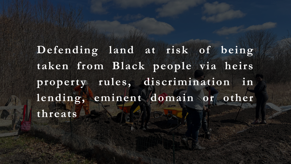 Black Land and Power — National Black Food & Justice Alliance