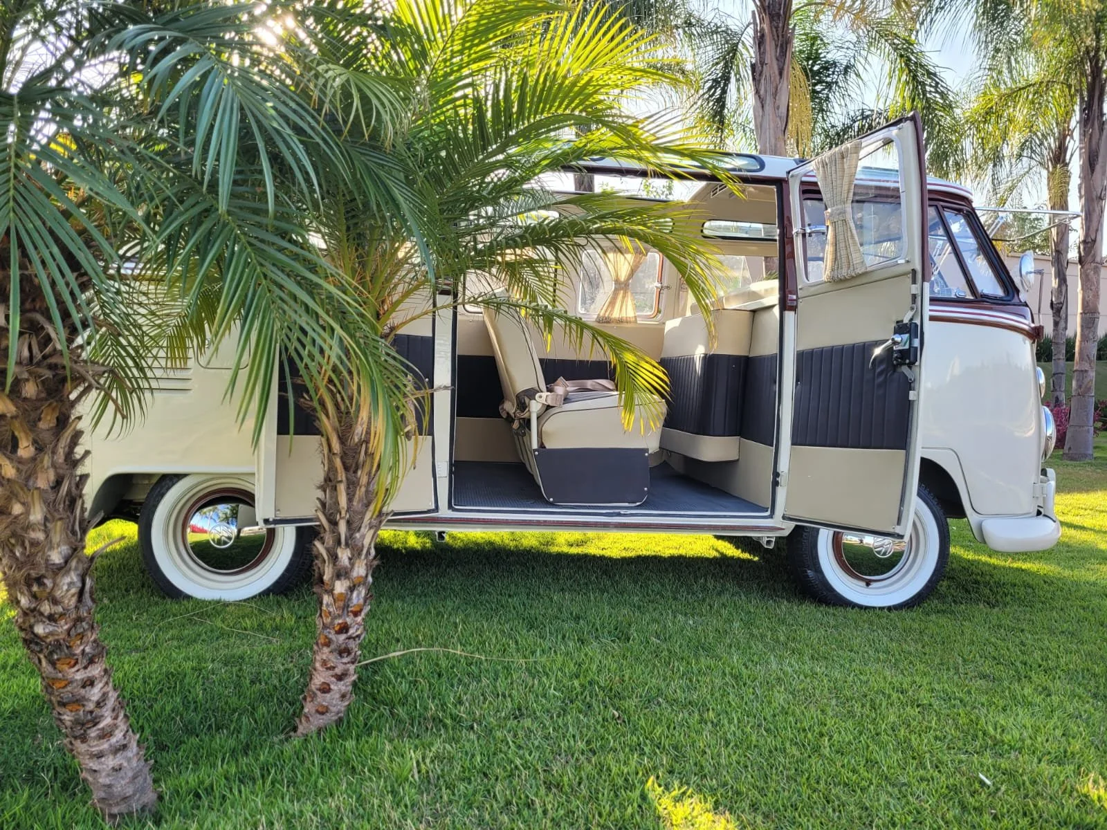 T1 split window bus samba replica 1971 — Brazilian Classic Cars