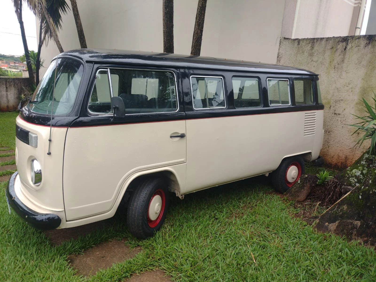 VW T2 baywindow bus 1996 — Brazilian Classic Cars