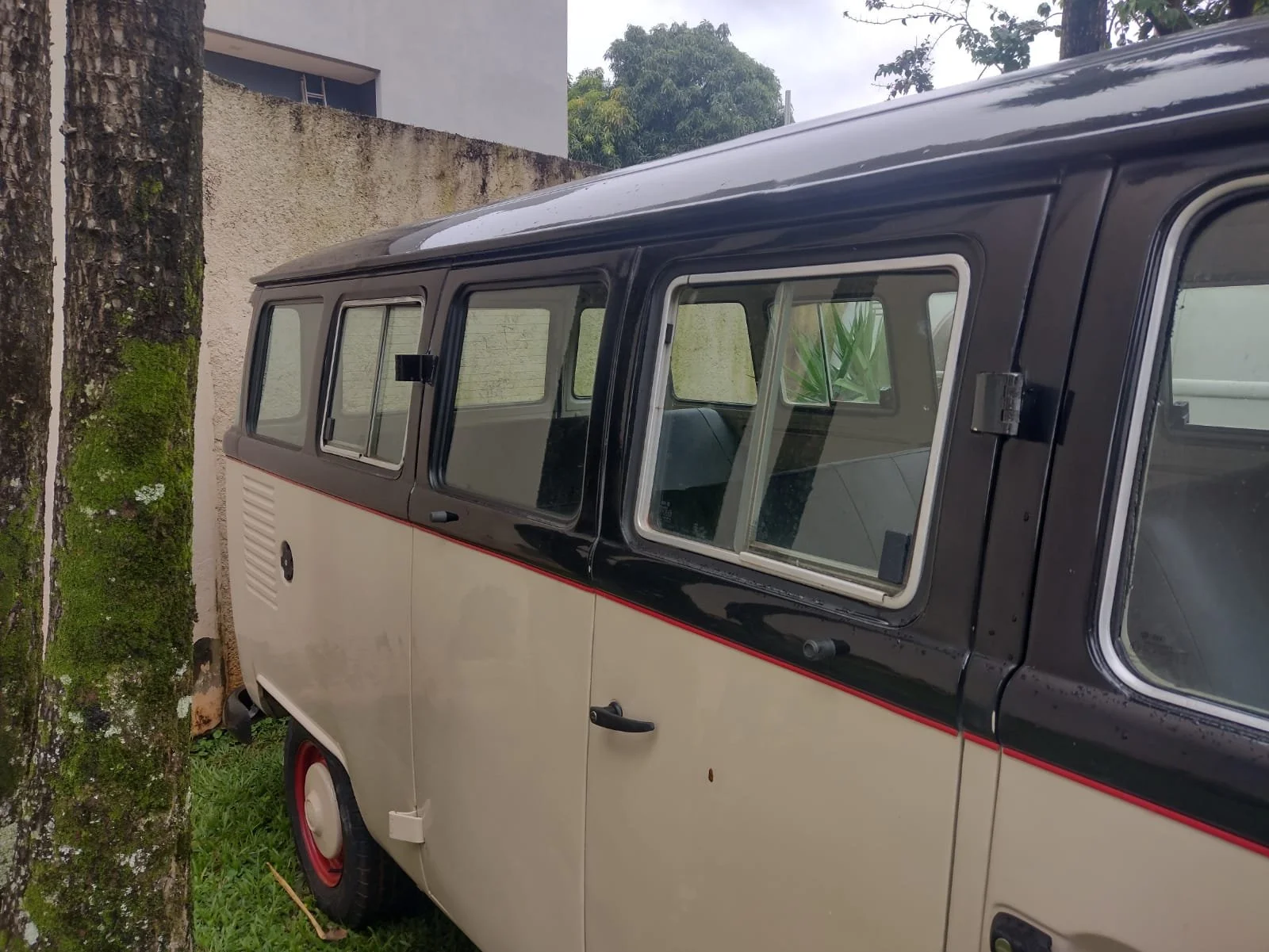 VW T2 baywindow bus 1996 — Brazilian Classic Cars