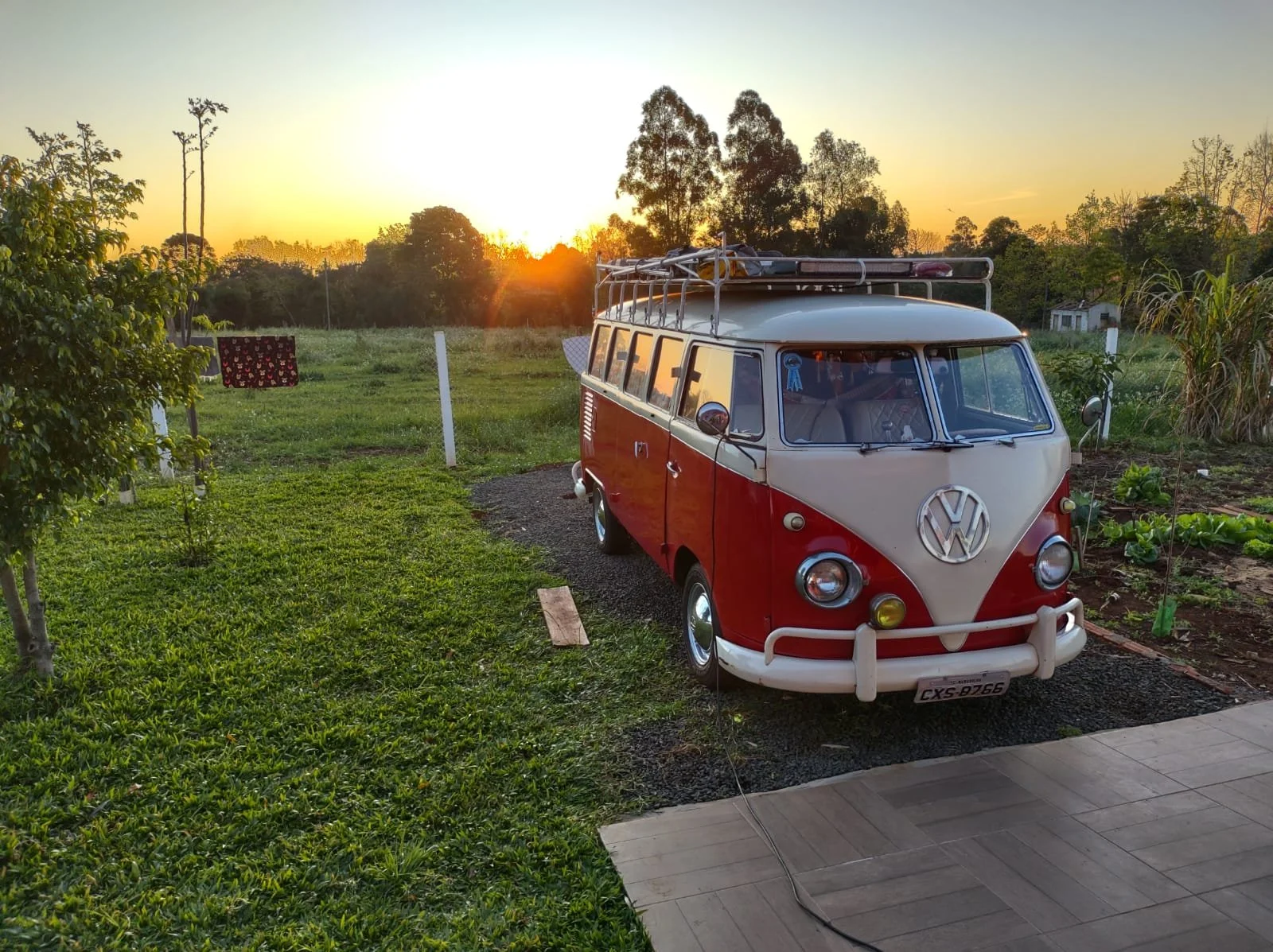 VW T1 splitwindow bus 1974 — Brazilian Classic Cars