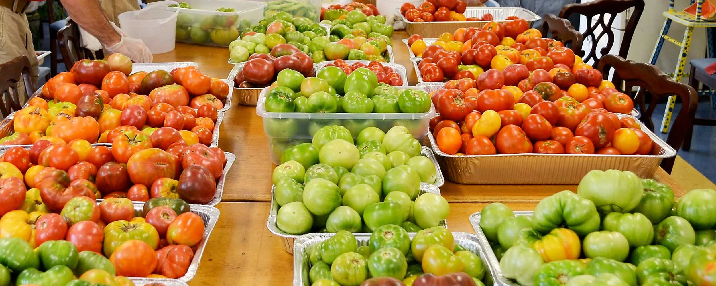 Tomato Festival, Events — Eastmont Community Foundation