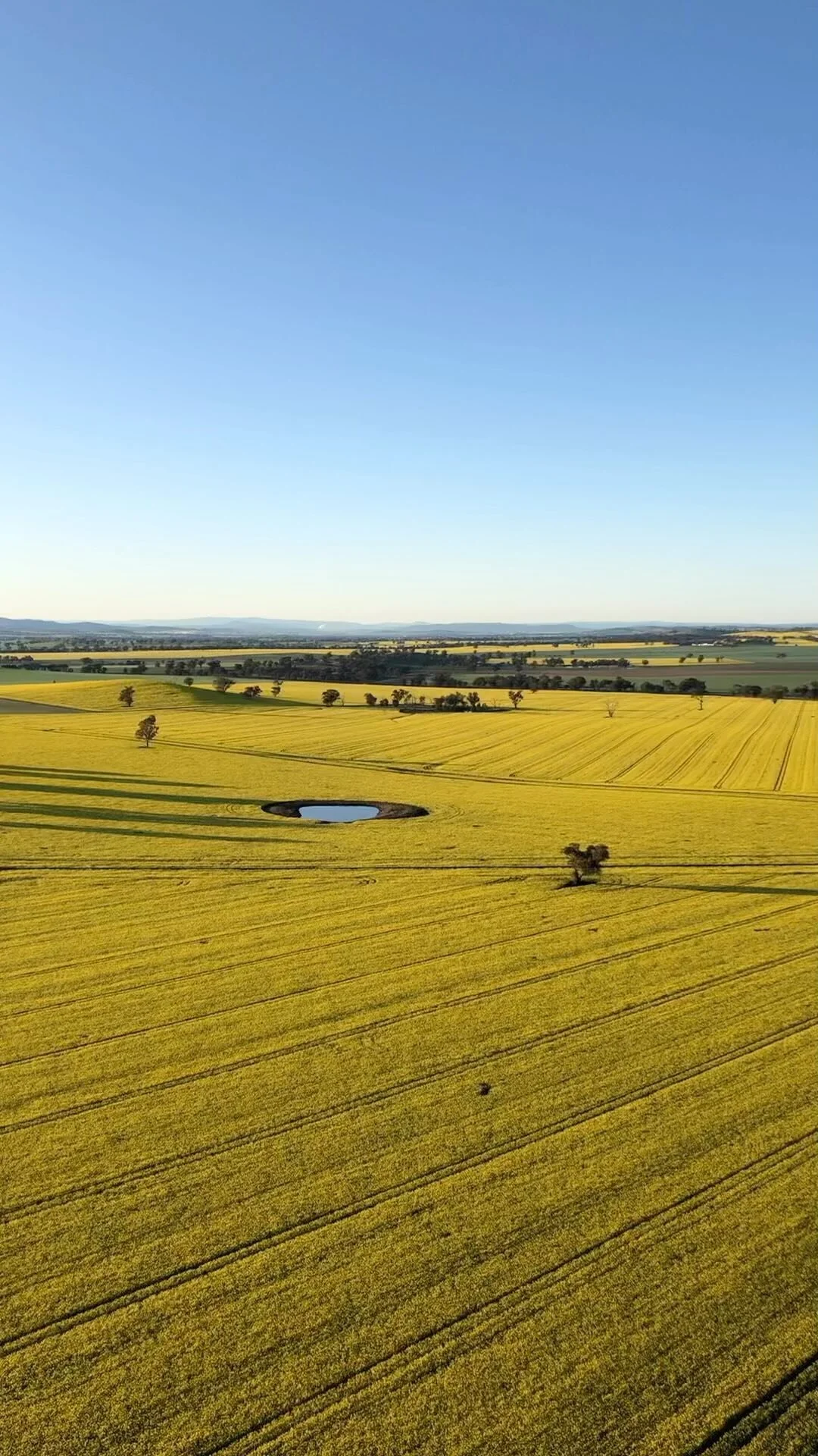 Canola Trail - Coolamon, Junee, Temora