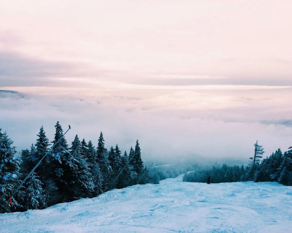 General 1 — Lydia Faye Corcoran