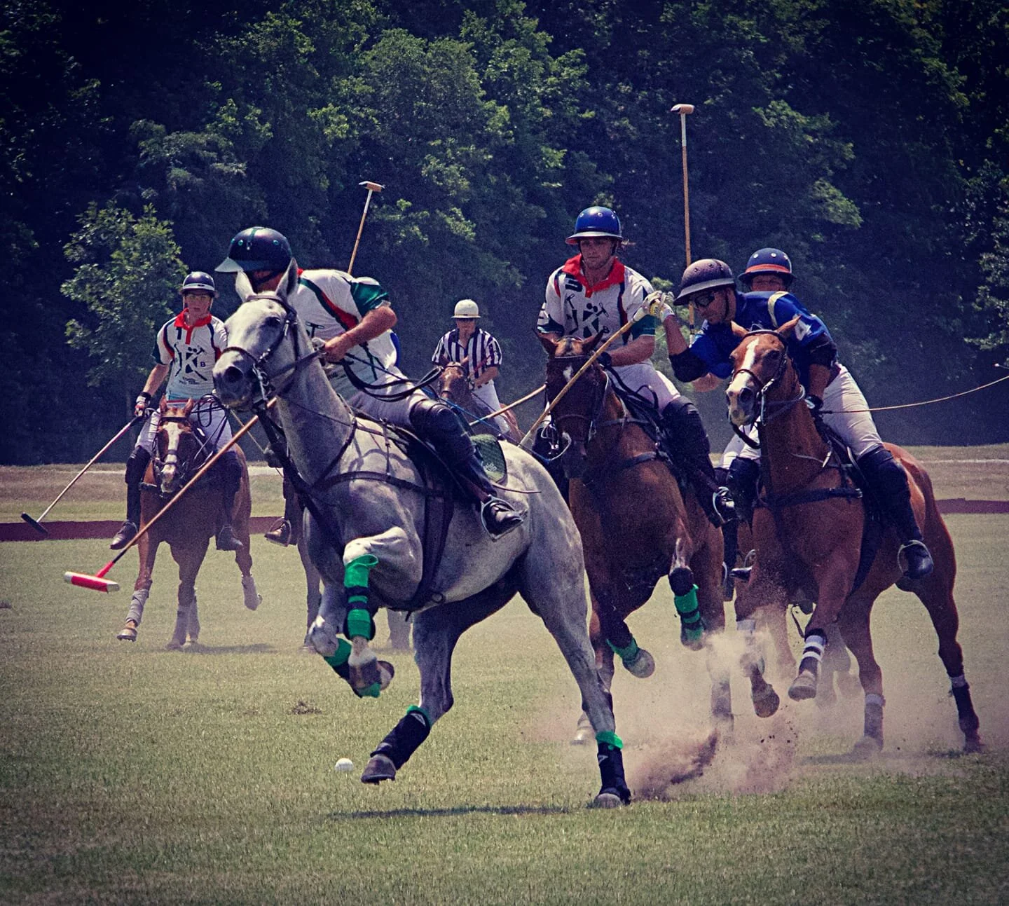 St. Louis Polo Club