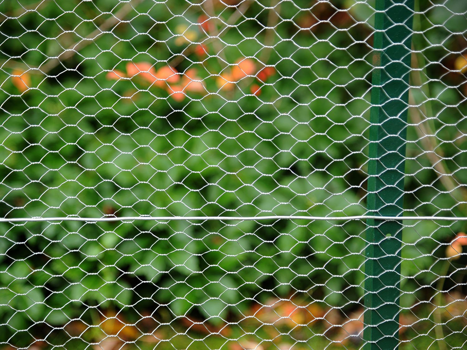 Metal Nets, Meshes & Fencing Wire — Apollo Gardening