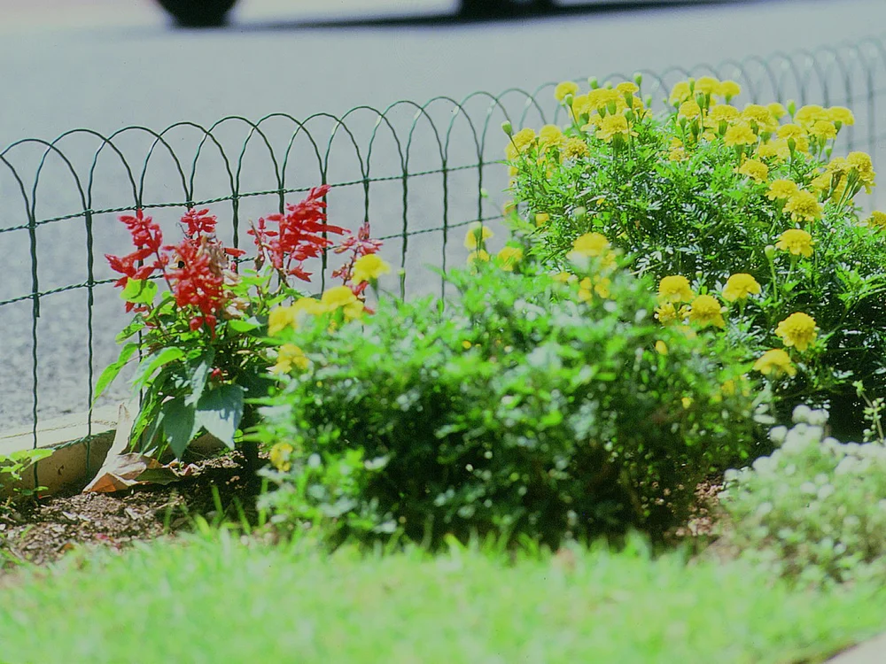 Metal Nets, Meshes & Fencing Wire — Apollo Gardening