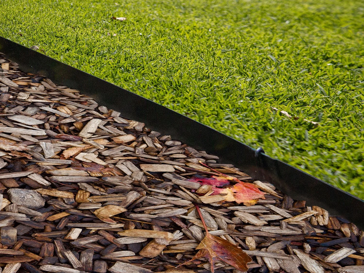 Garden & Landscape Border Edging — Apollo Gardening