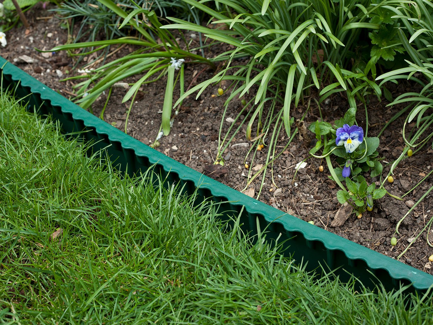 Garden & Landscape Border Edging — Apollo Gardening