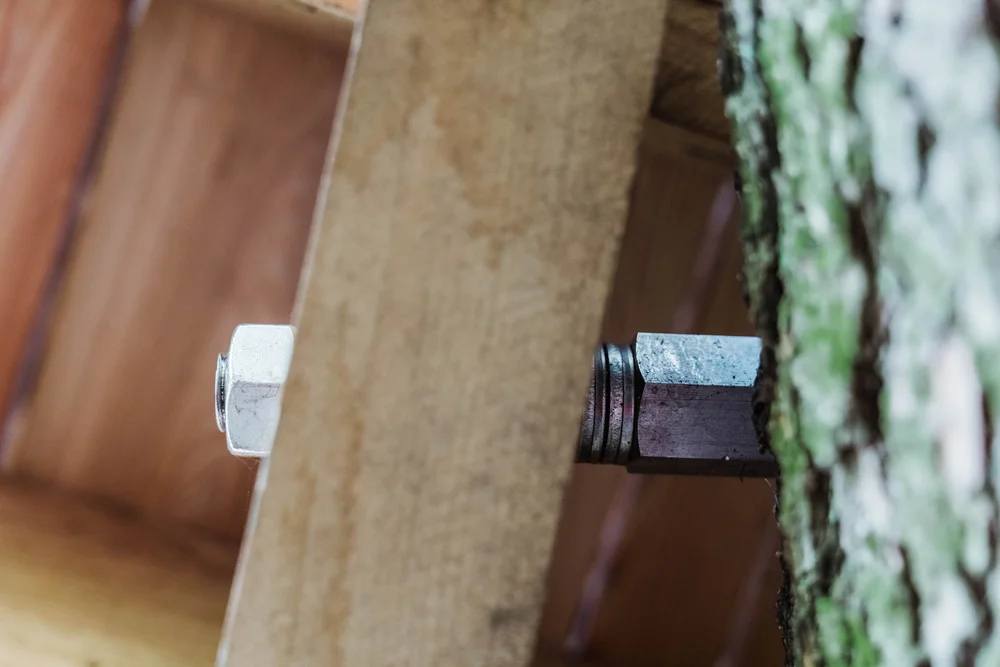 Everything you need to know about getting a treehouse built — Root and ...