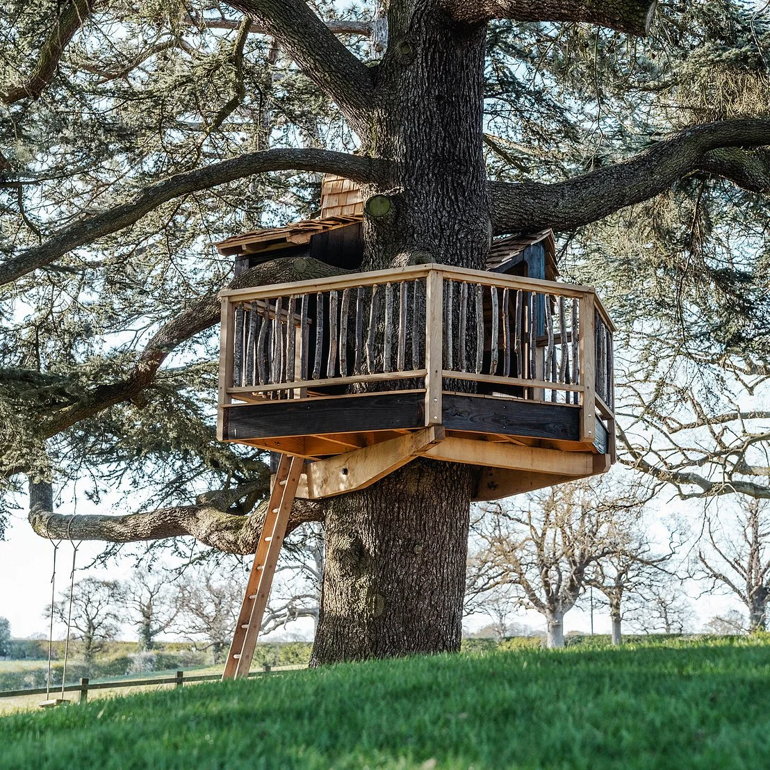 How to build a treehouse — Root and Shoot
