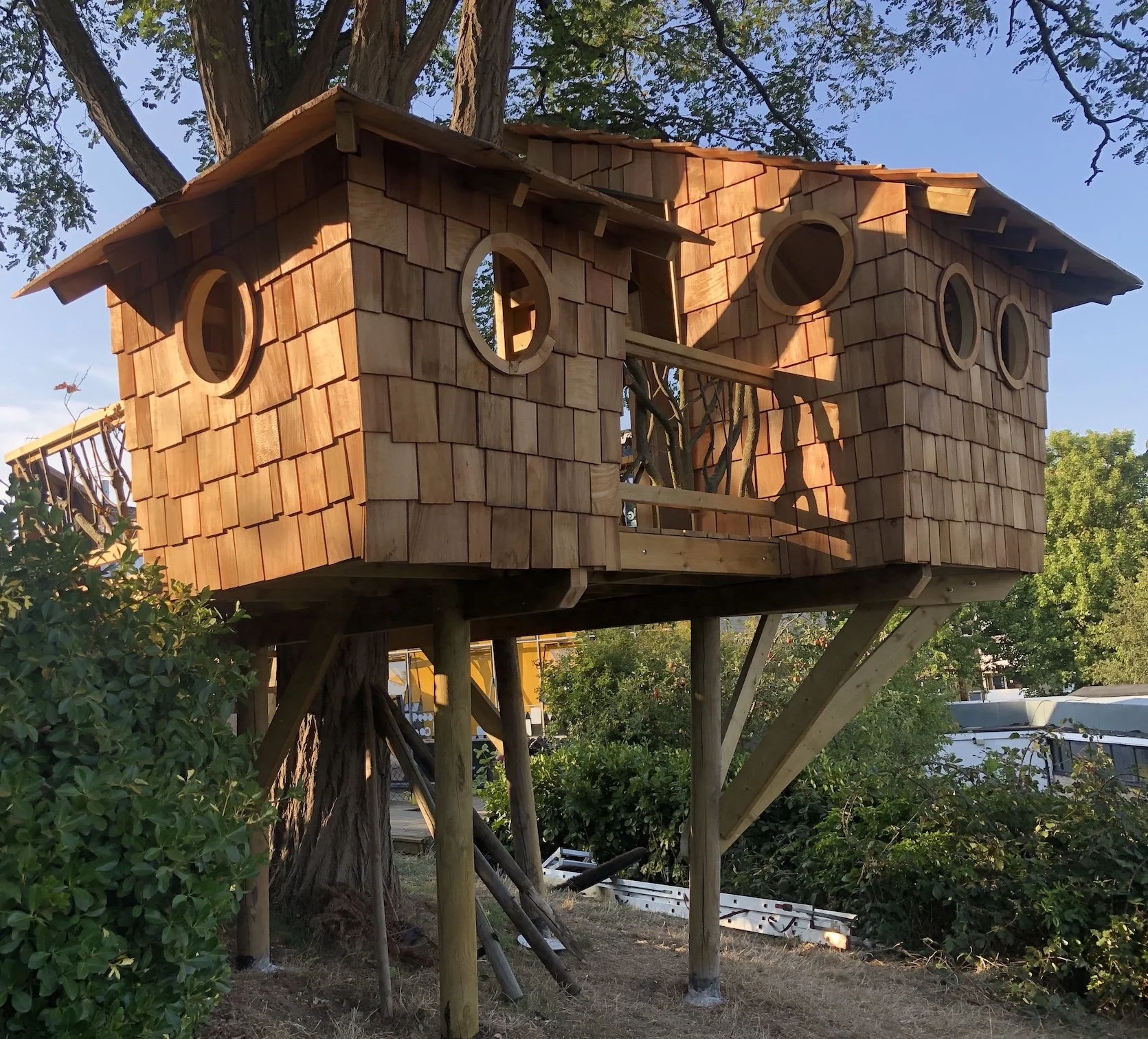 How to build a treehouse — Root and Shoot