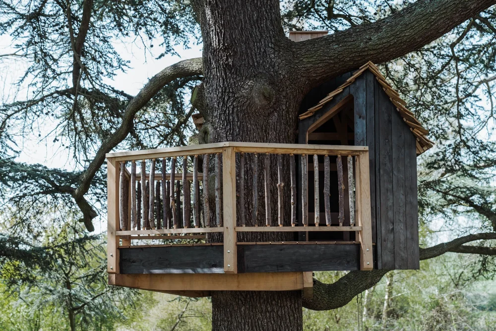 Everything you need to know about getting a treehouse built — Root and ...