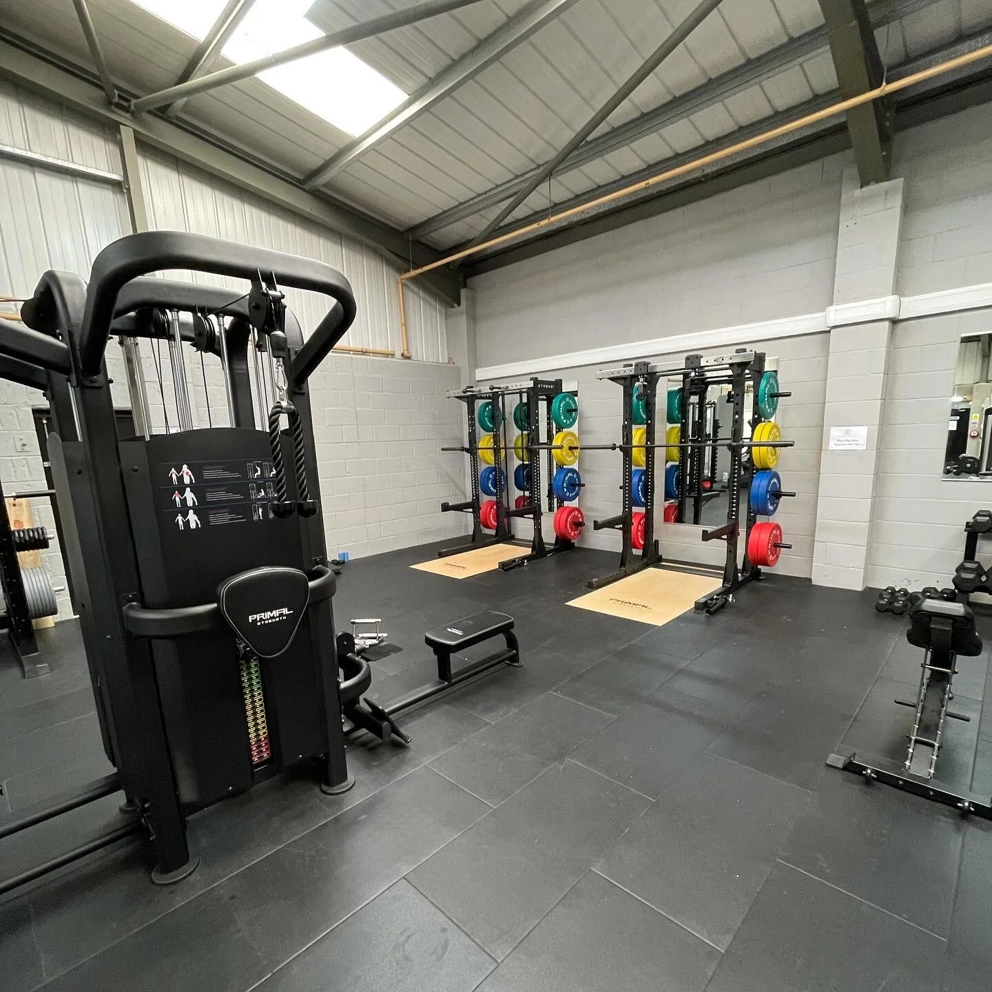 Gallery 1 — THE CONDITIONING CLUB