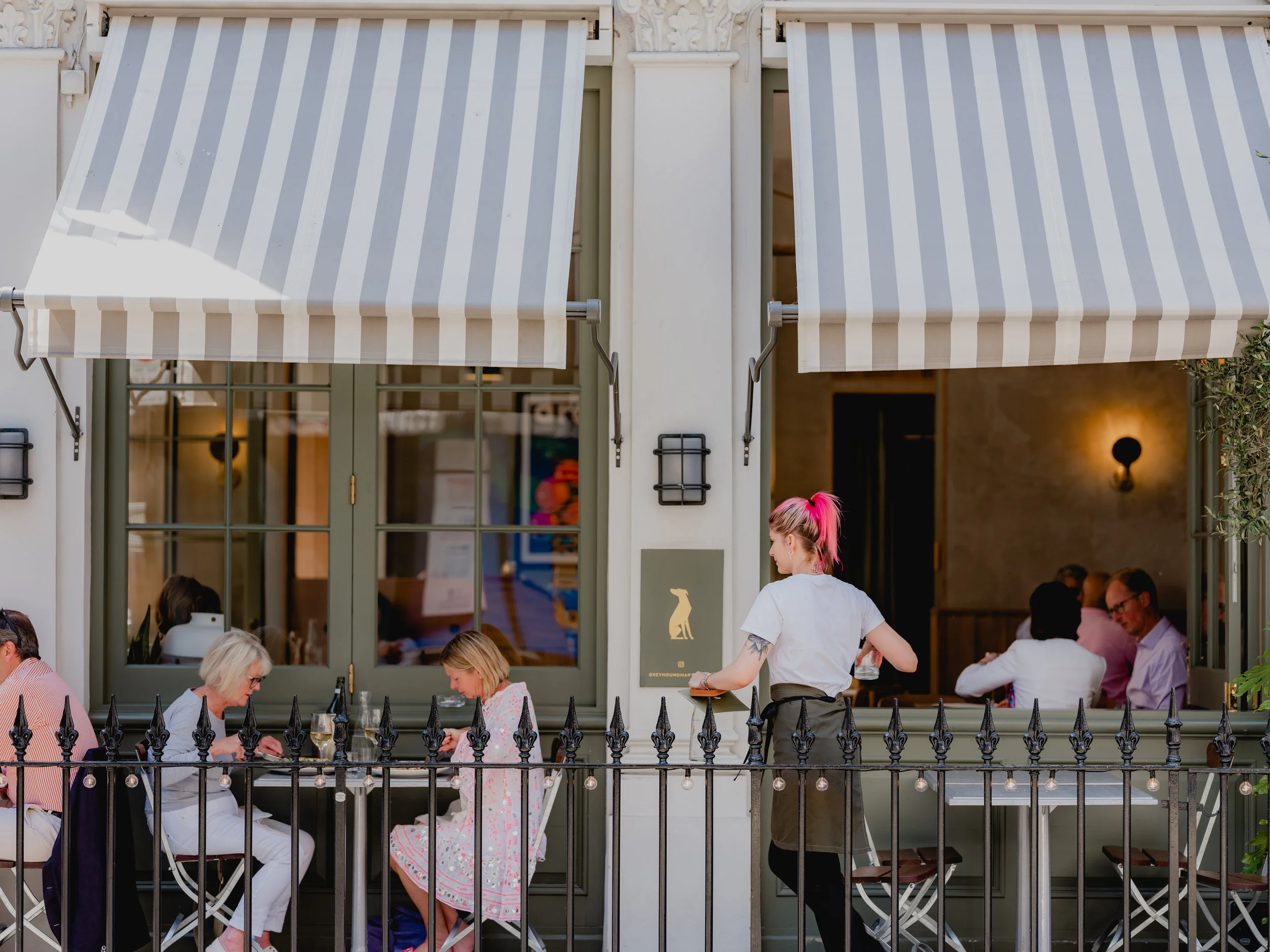 THE ITALIAN GREYHOUND