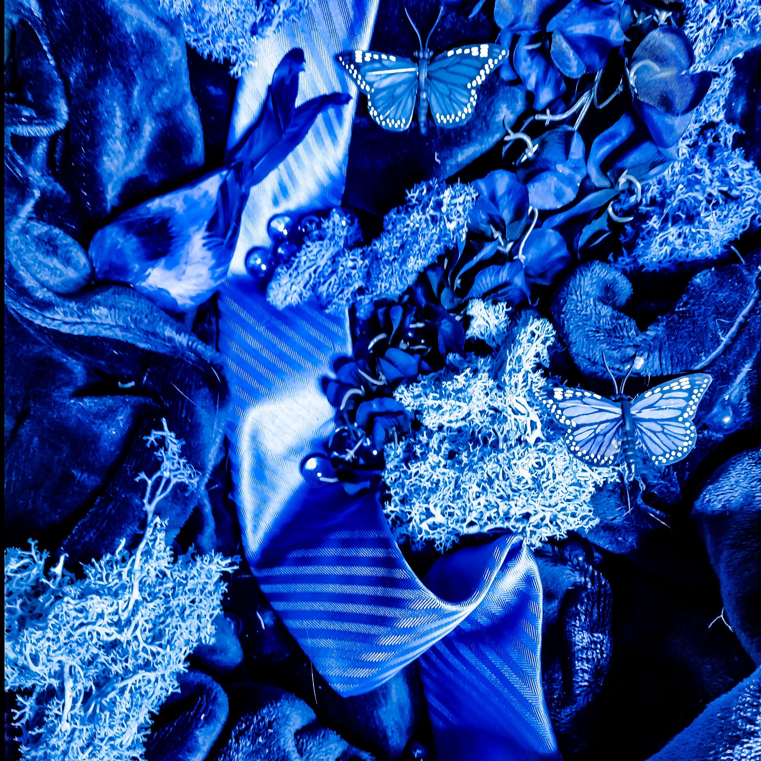 Color Study — E Brumley Creative