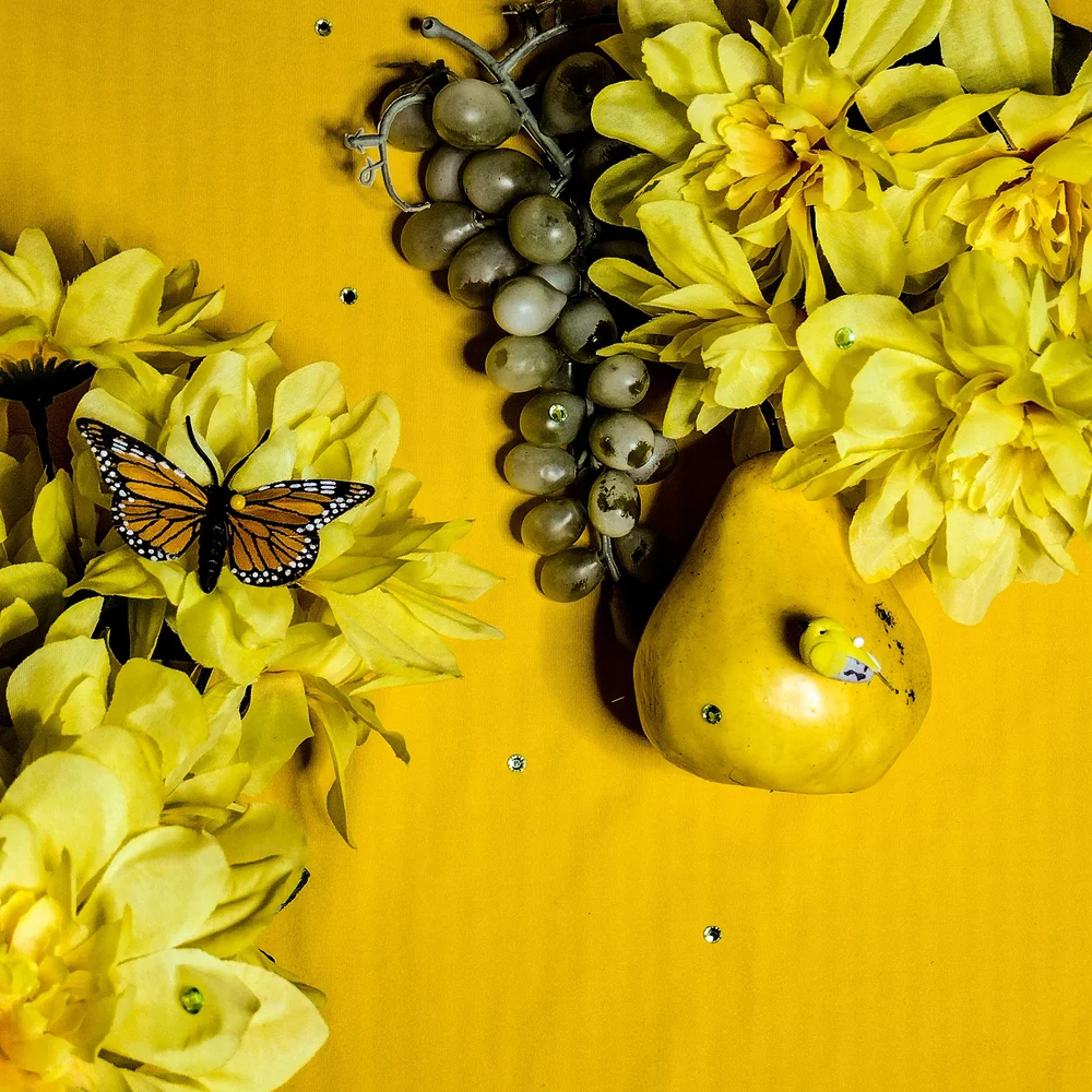 Color Study — E Brumley Creative