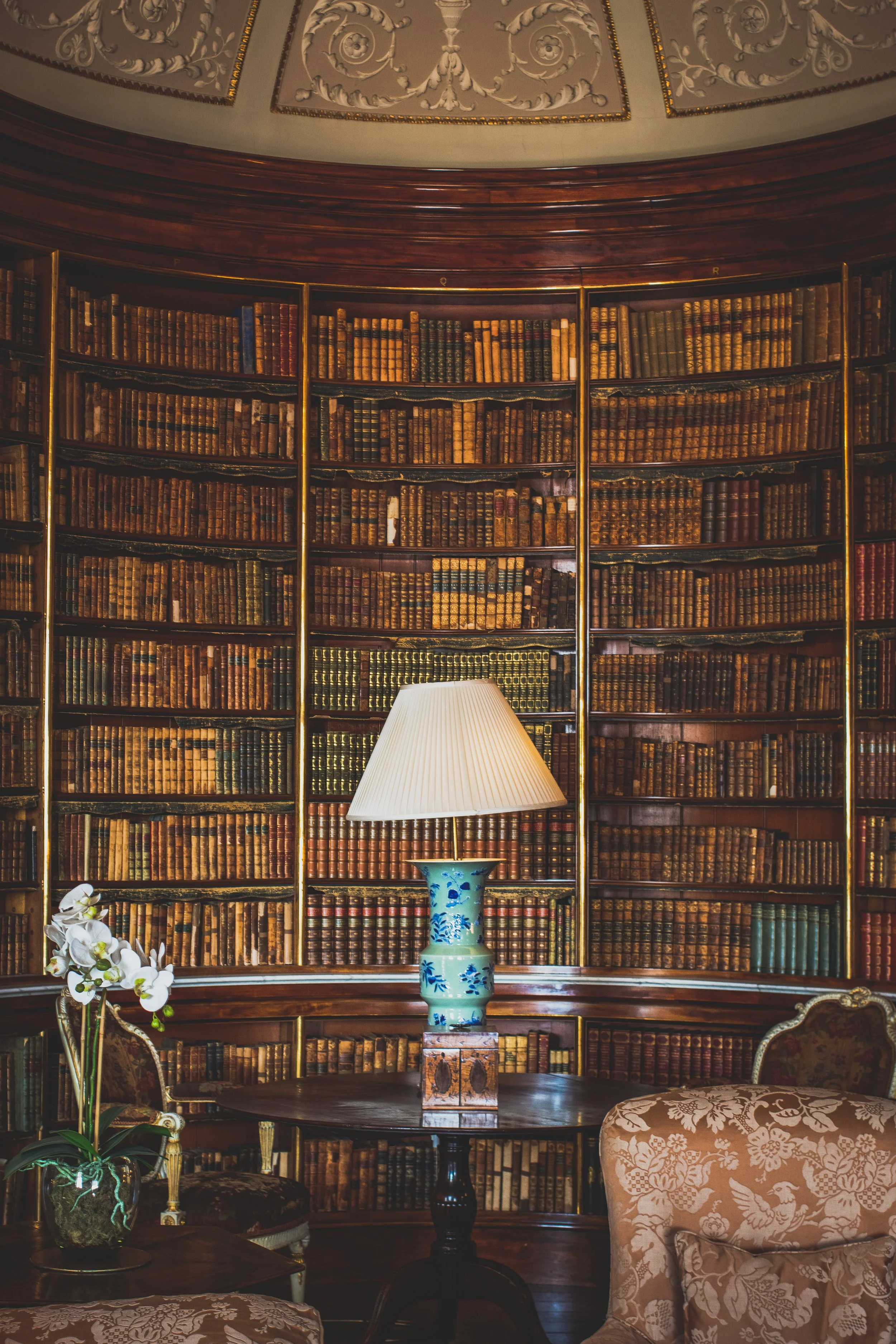 Book Recommendations — Rachel Oates