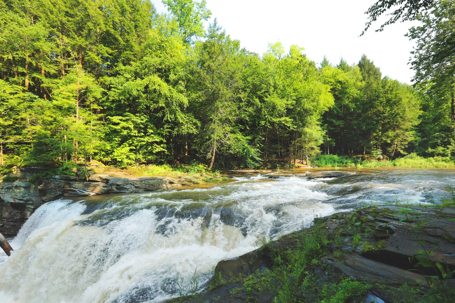 Appointments 2 — Slumber Valley Campground