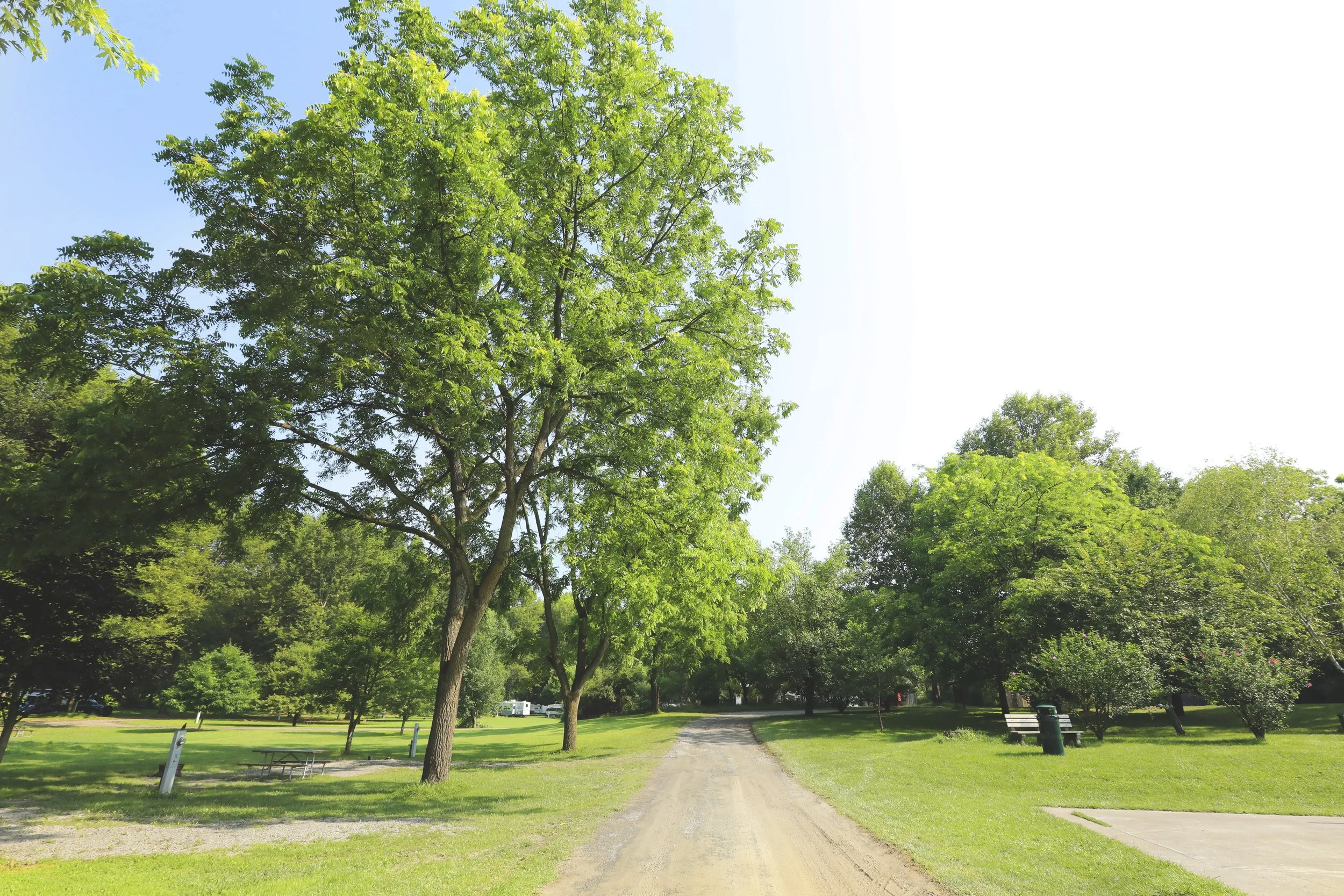 General 5 — Slumber Valley Campground