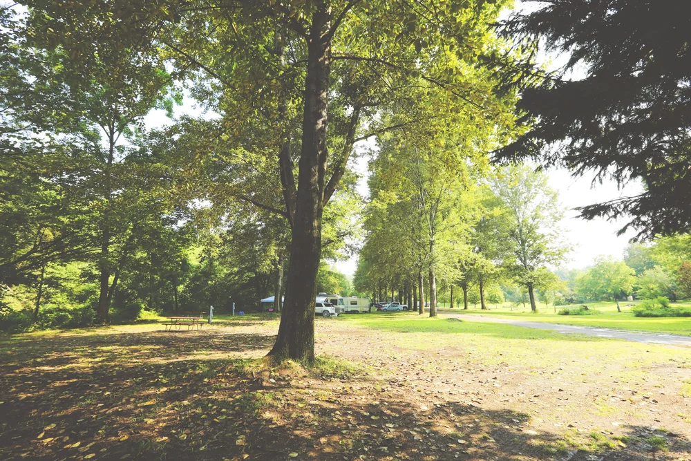 General 5 — Slumber Valley Campground