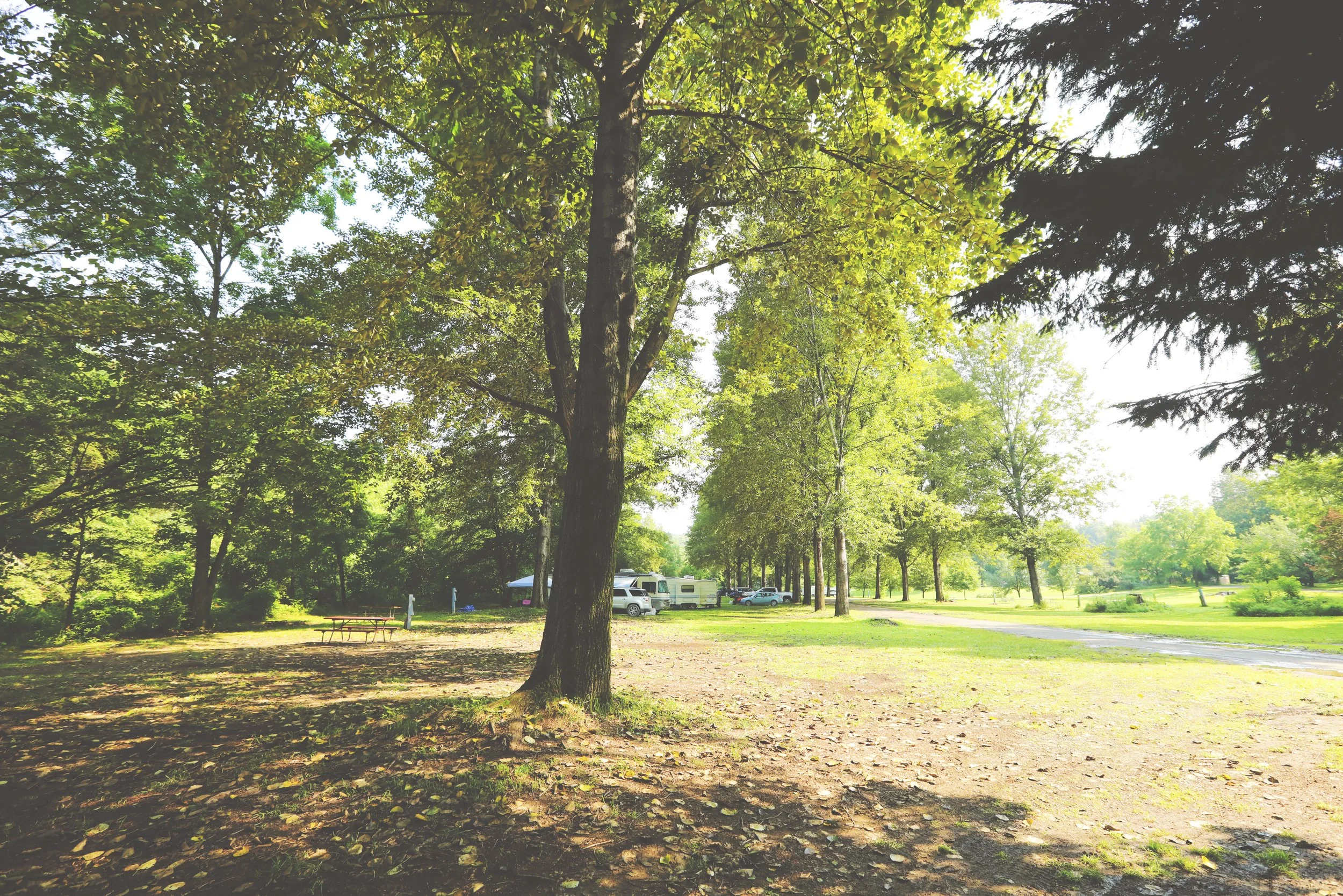 General 5 — Slumber Valley Campground