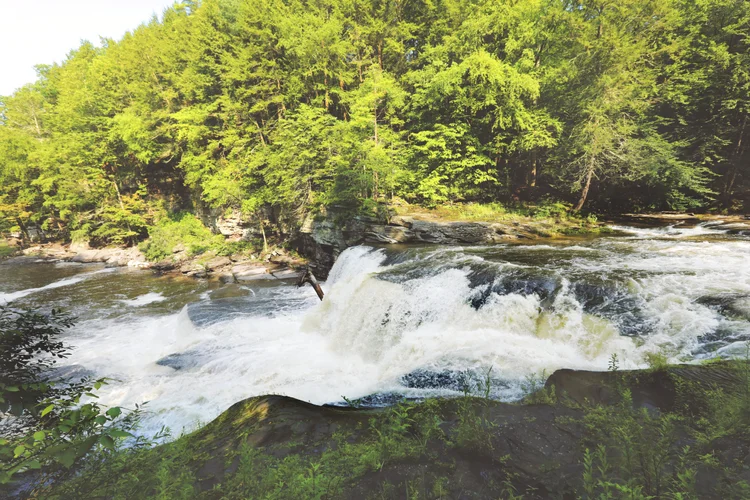 Amenities — Slumber Valley Campground