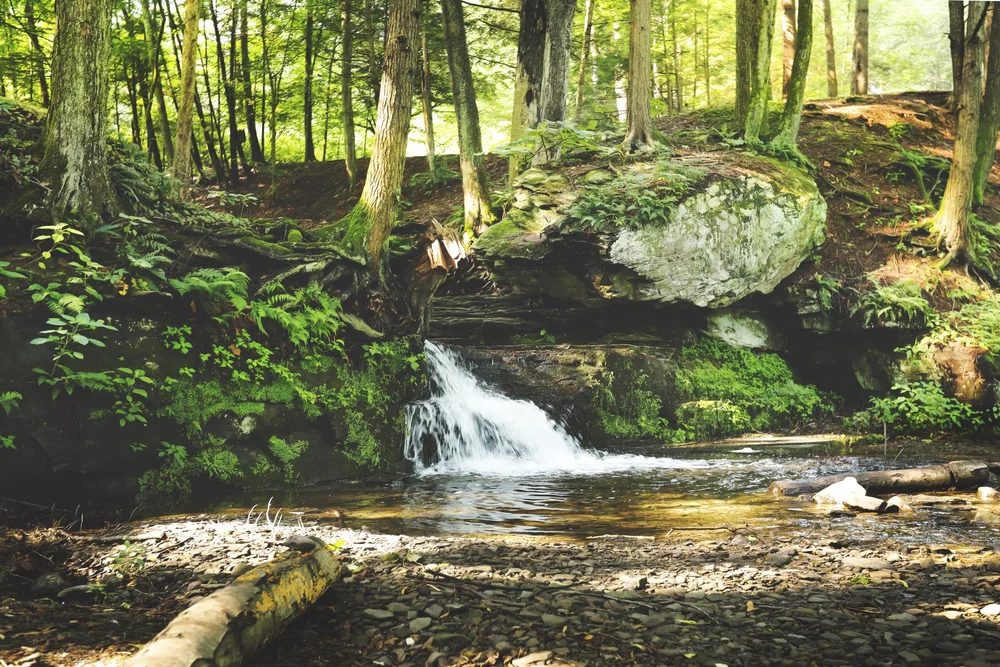 General 5 — Slumber Valley Campground