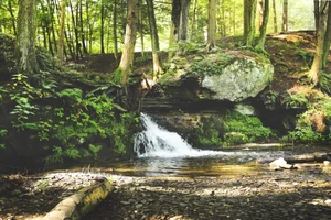 General 5 — Slumber Valley Campground