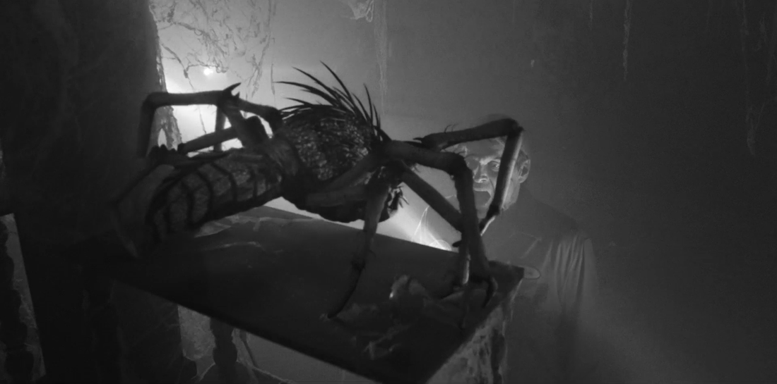 The Mist Monsters Spider