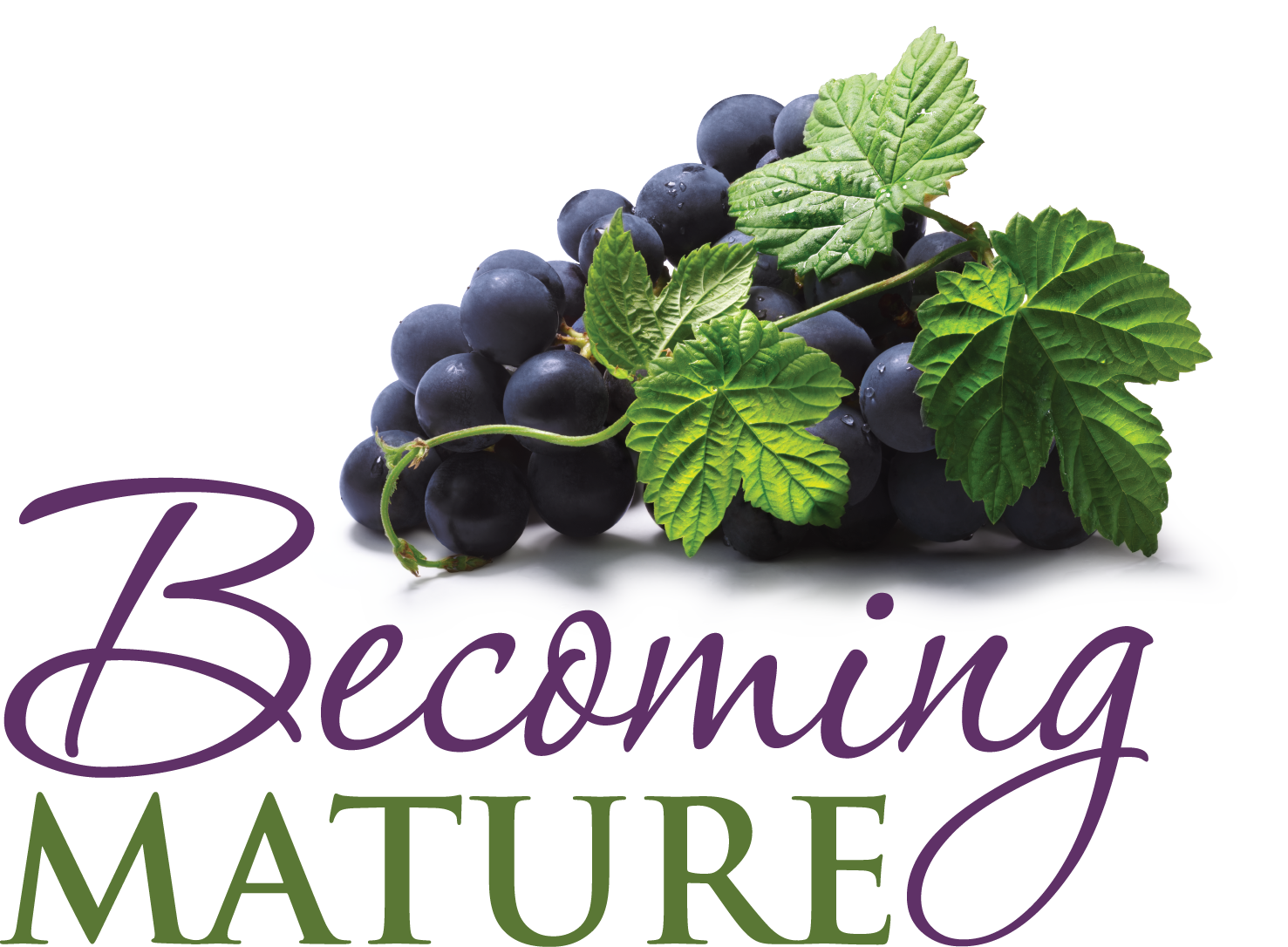 Not In Glory And Magnificence But In Poverty Becoming Mature Not In Glory And Magnificence But In Poverty Becoming Mature