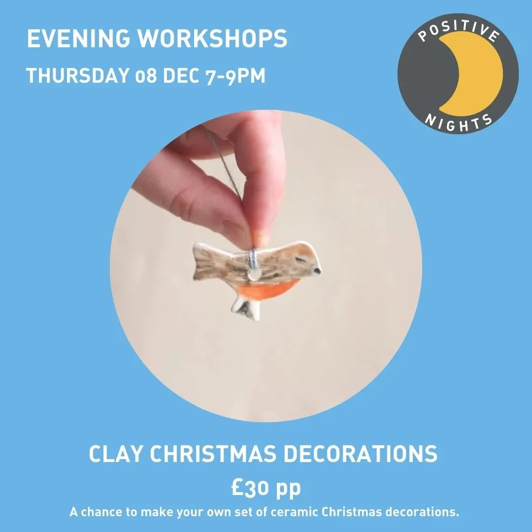 Positive Light Projects