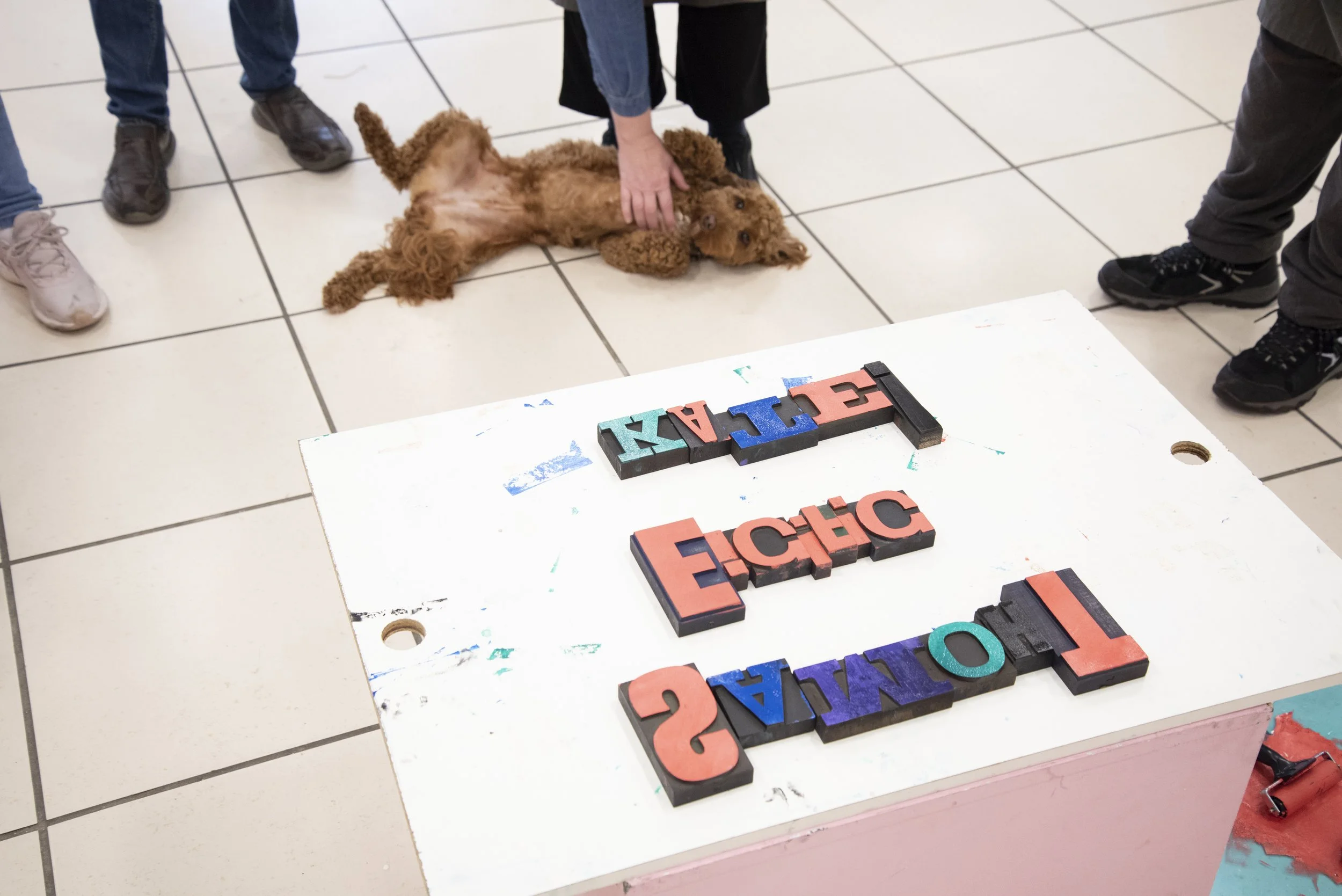 Projects — Positive Light Projects