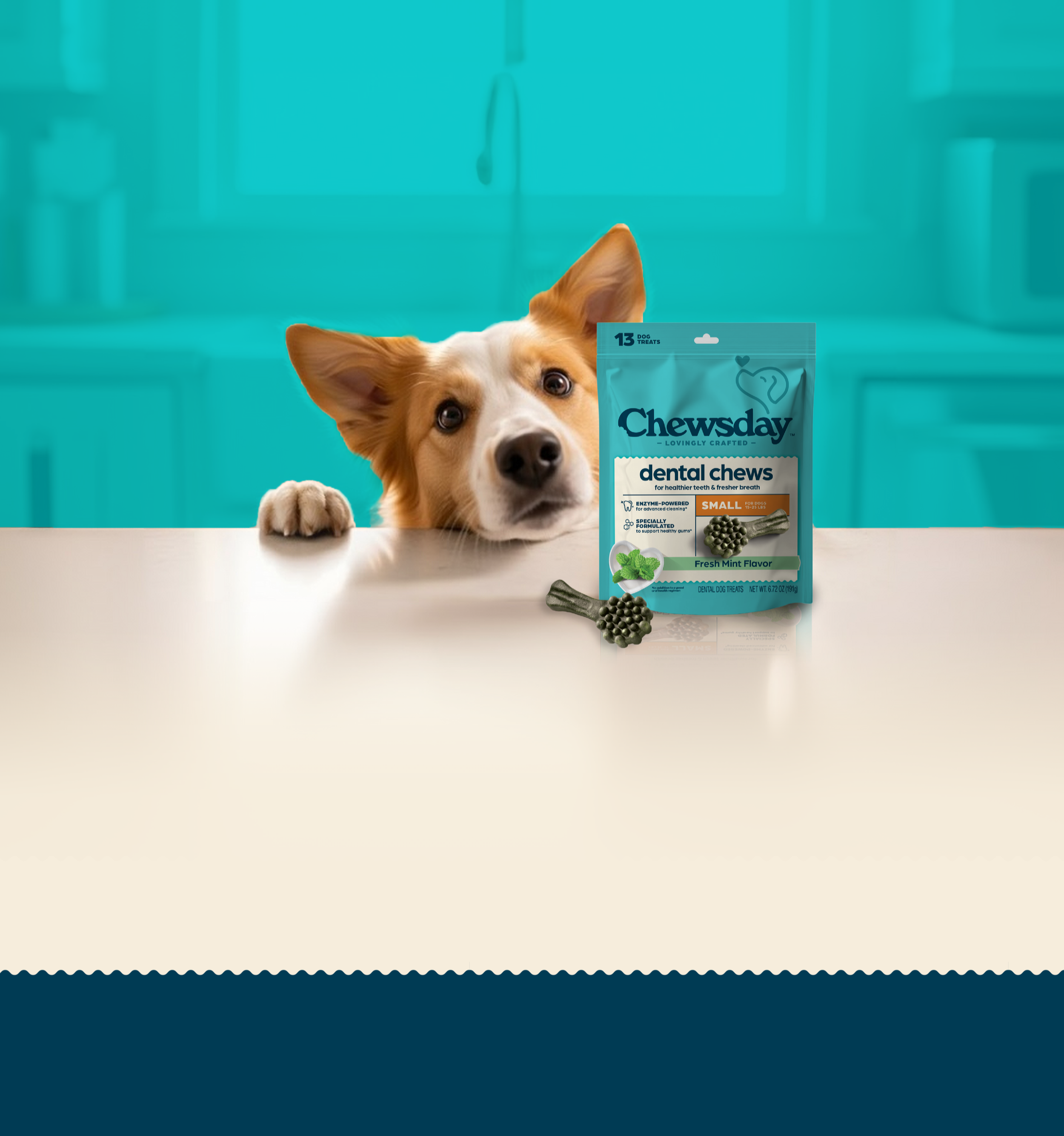 Chewsday Natural Dog Treats