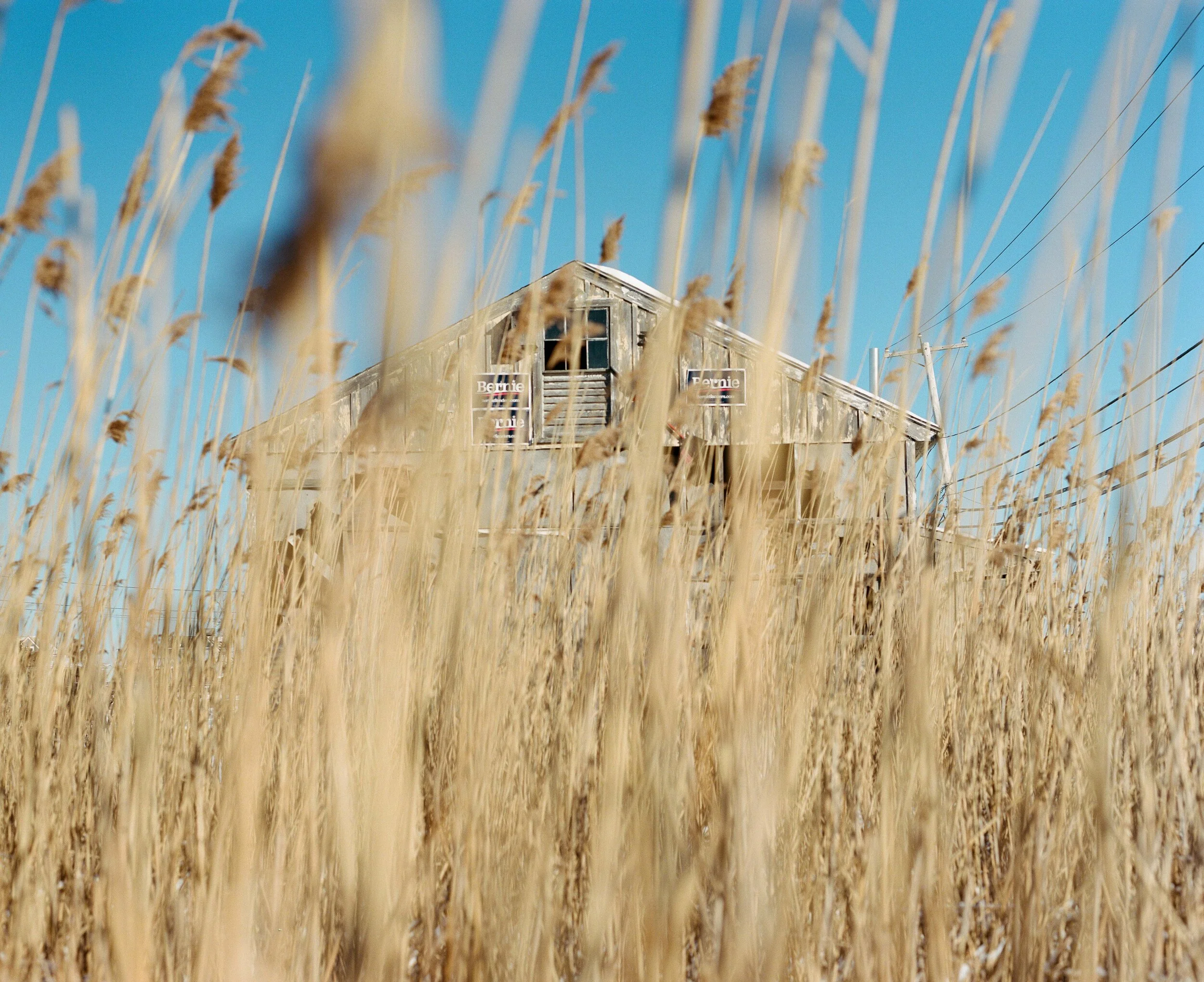 Alan Barrington Evans