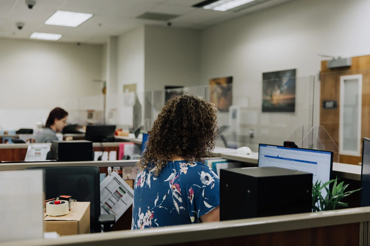 Contact — Beaufort Treasurer