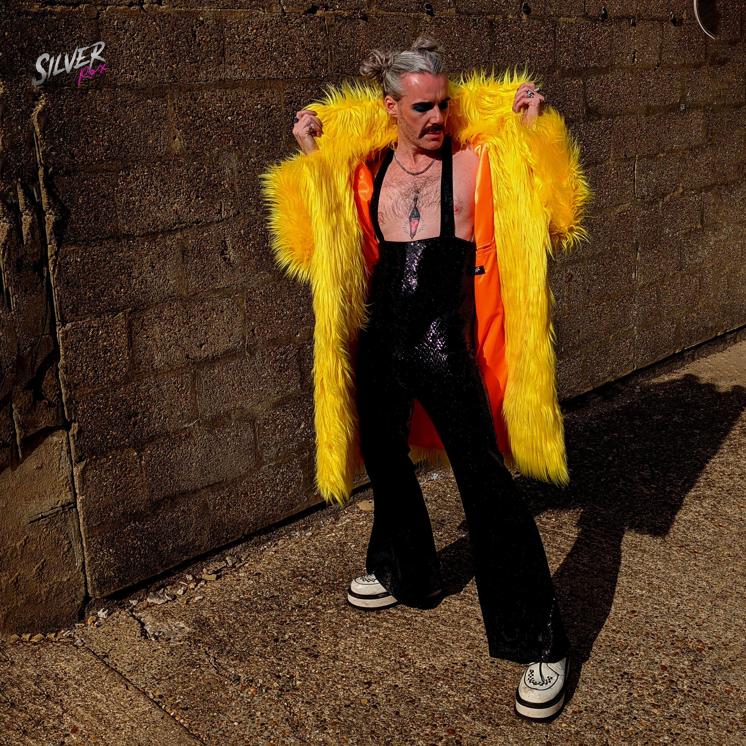 Store 1 — silver rox