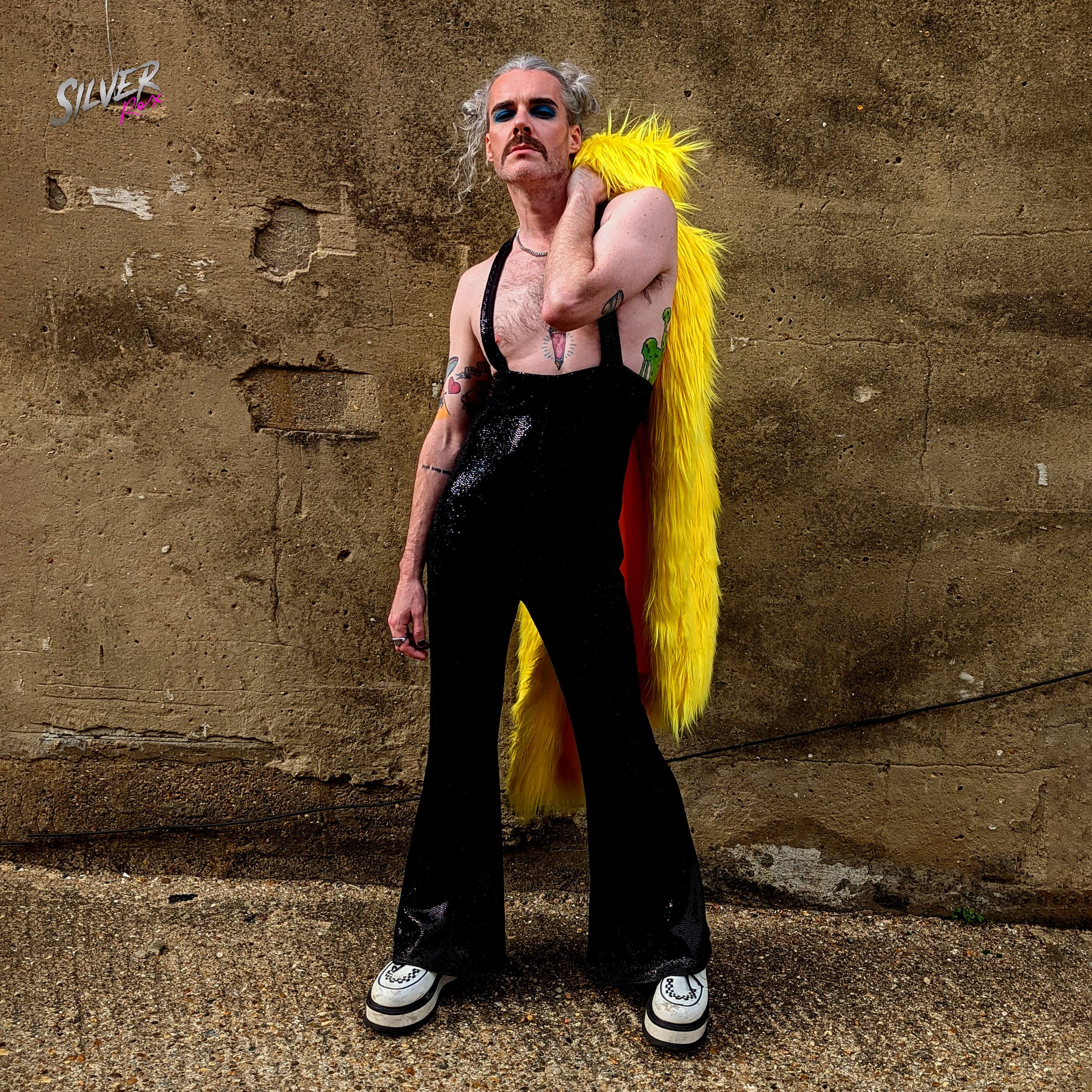 Store 1 — silver rox