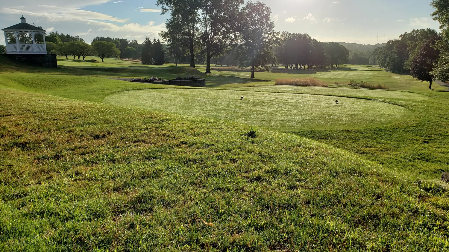 Next Level Golf Academy