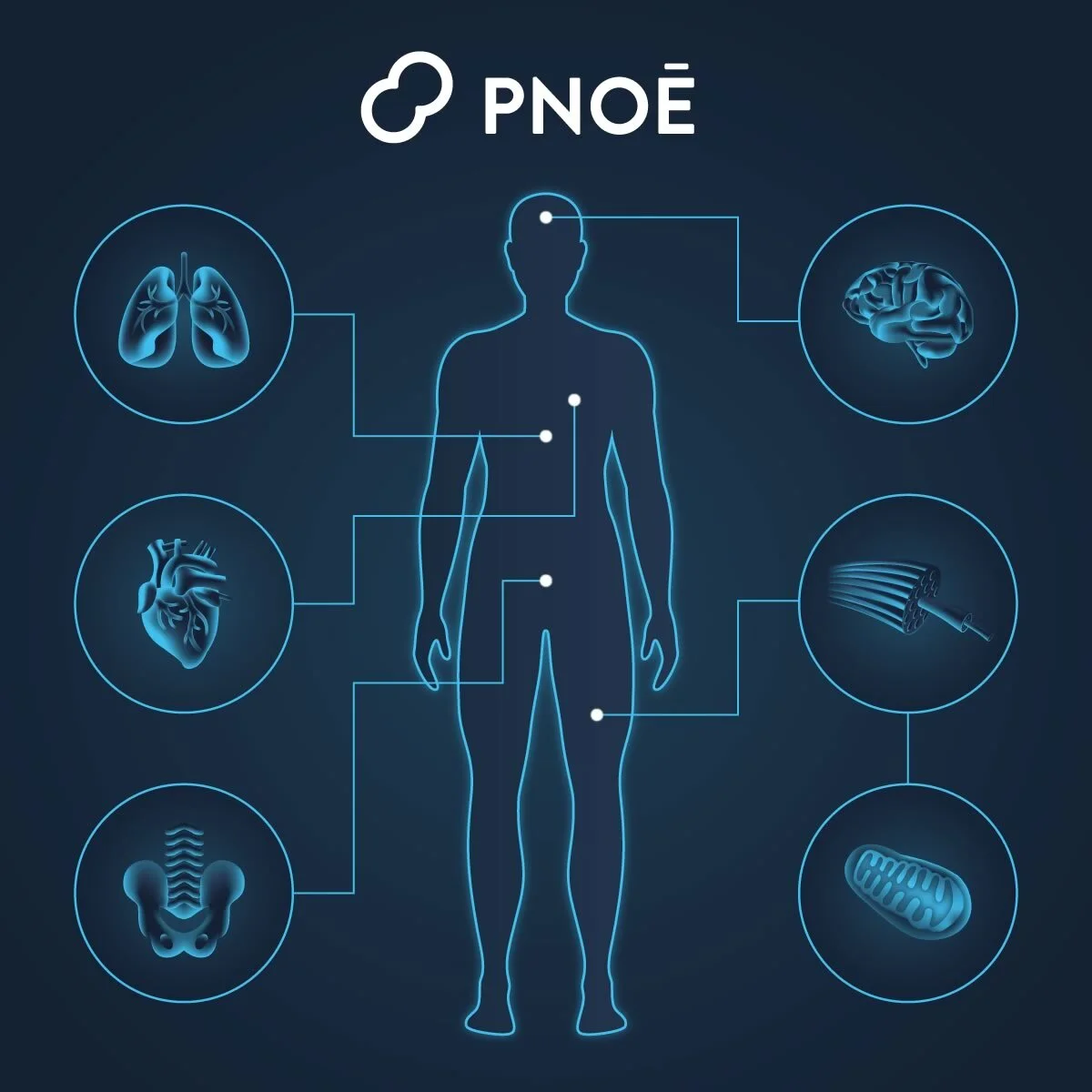 Sports Science Testing — Bespoke Health