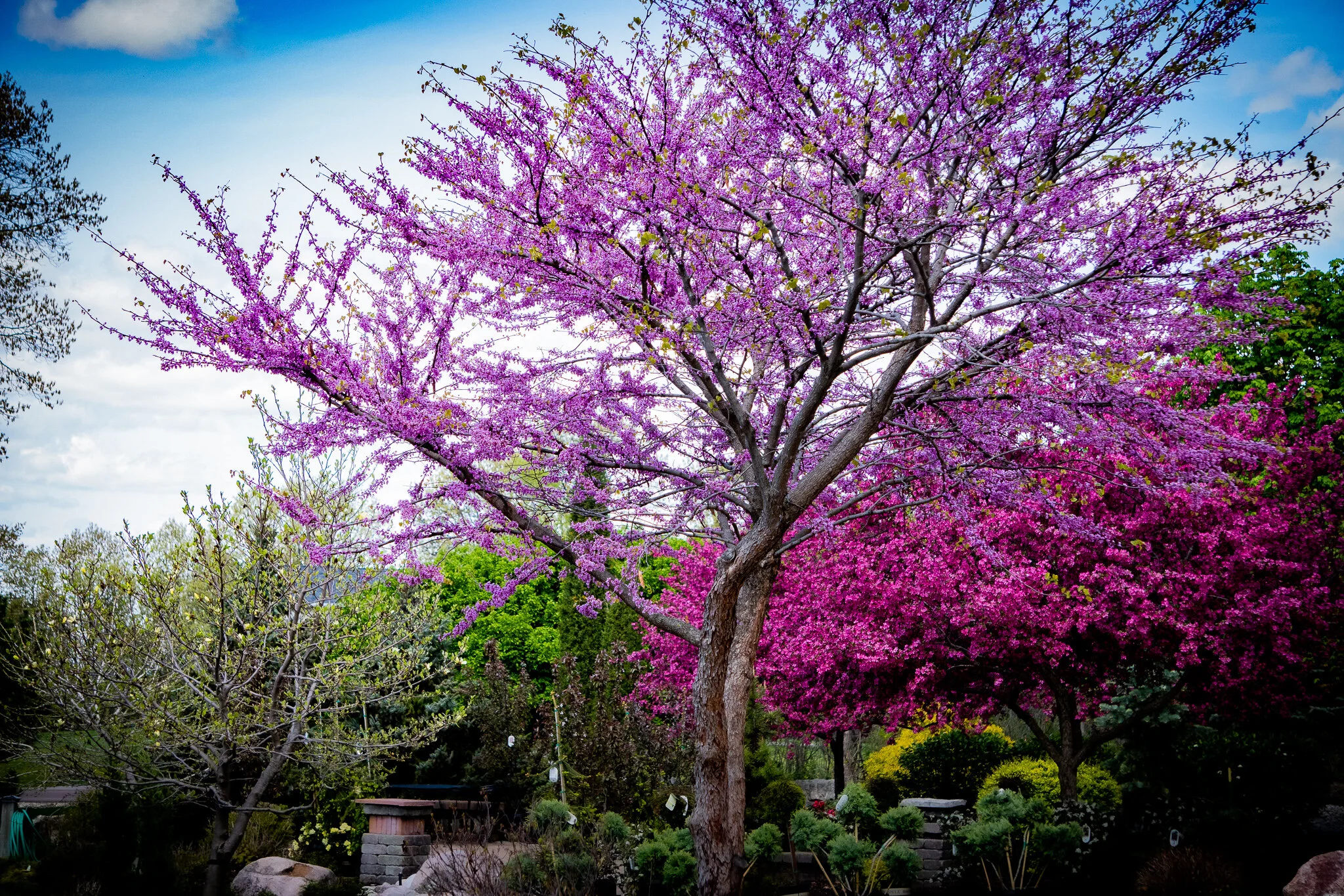 About Us — River City Lawnscape