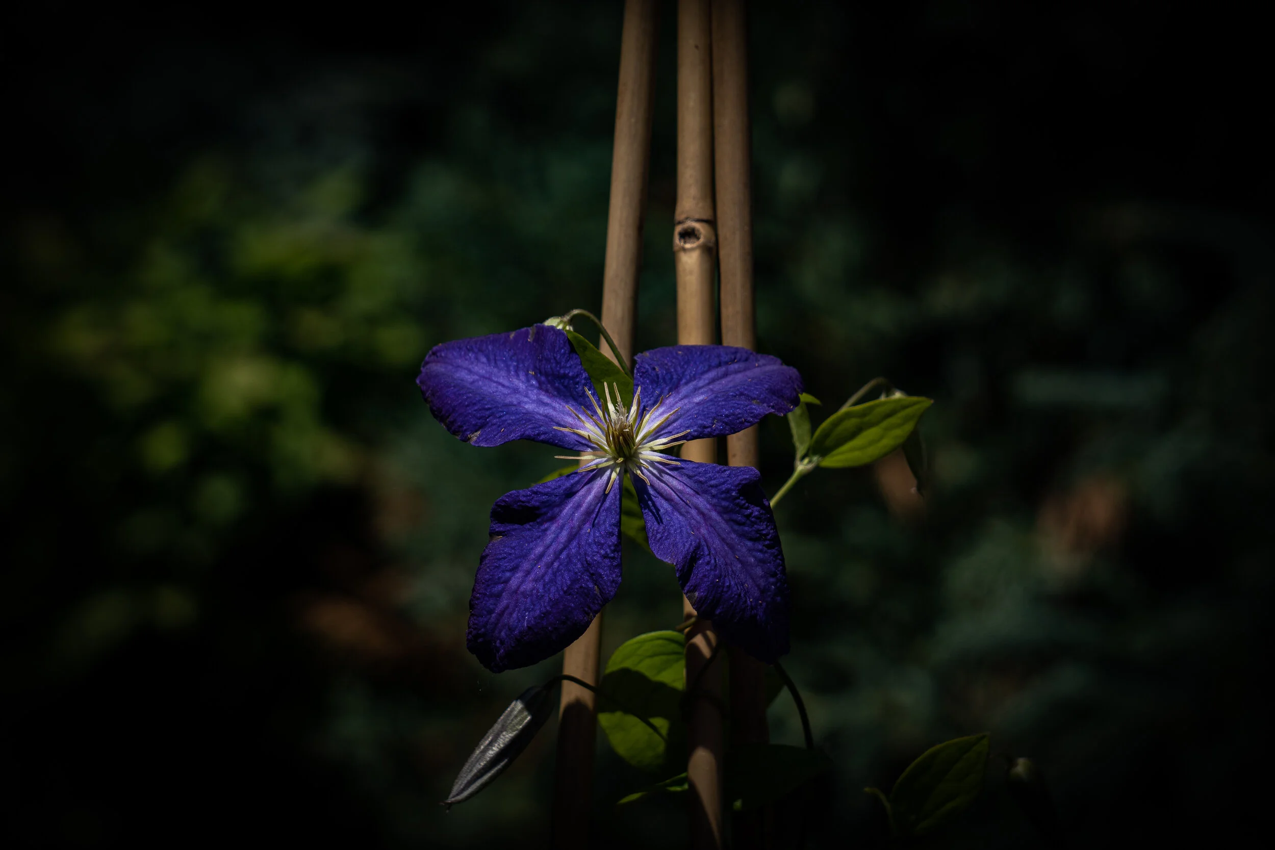 Garden Center — River City Lawnscape