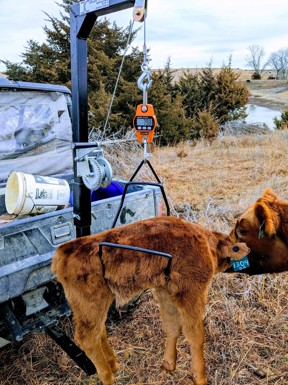 Caldwell Cattle & Equipment