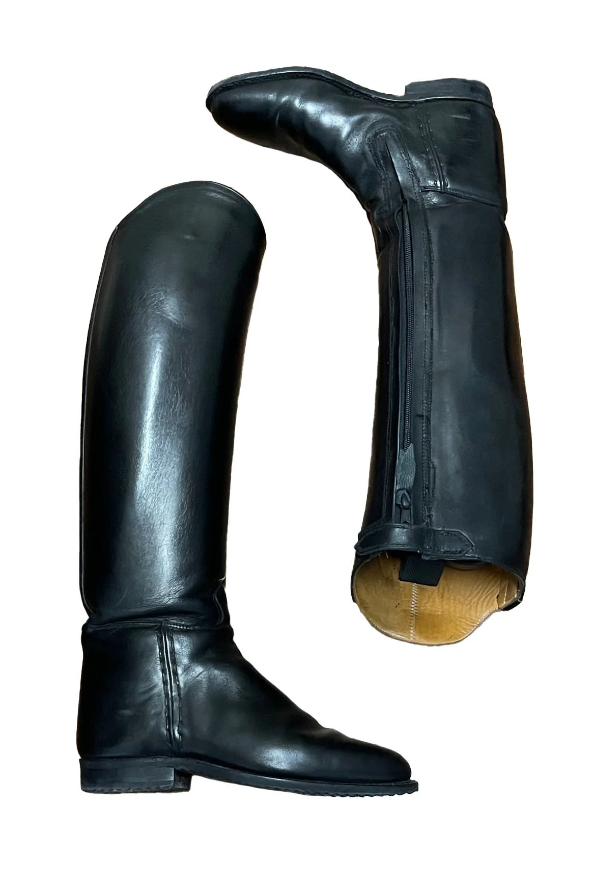 New Arrivals — 2nd Round Equestrian