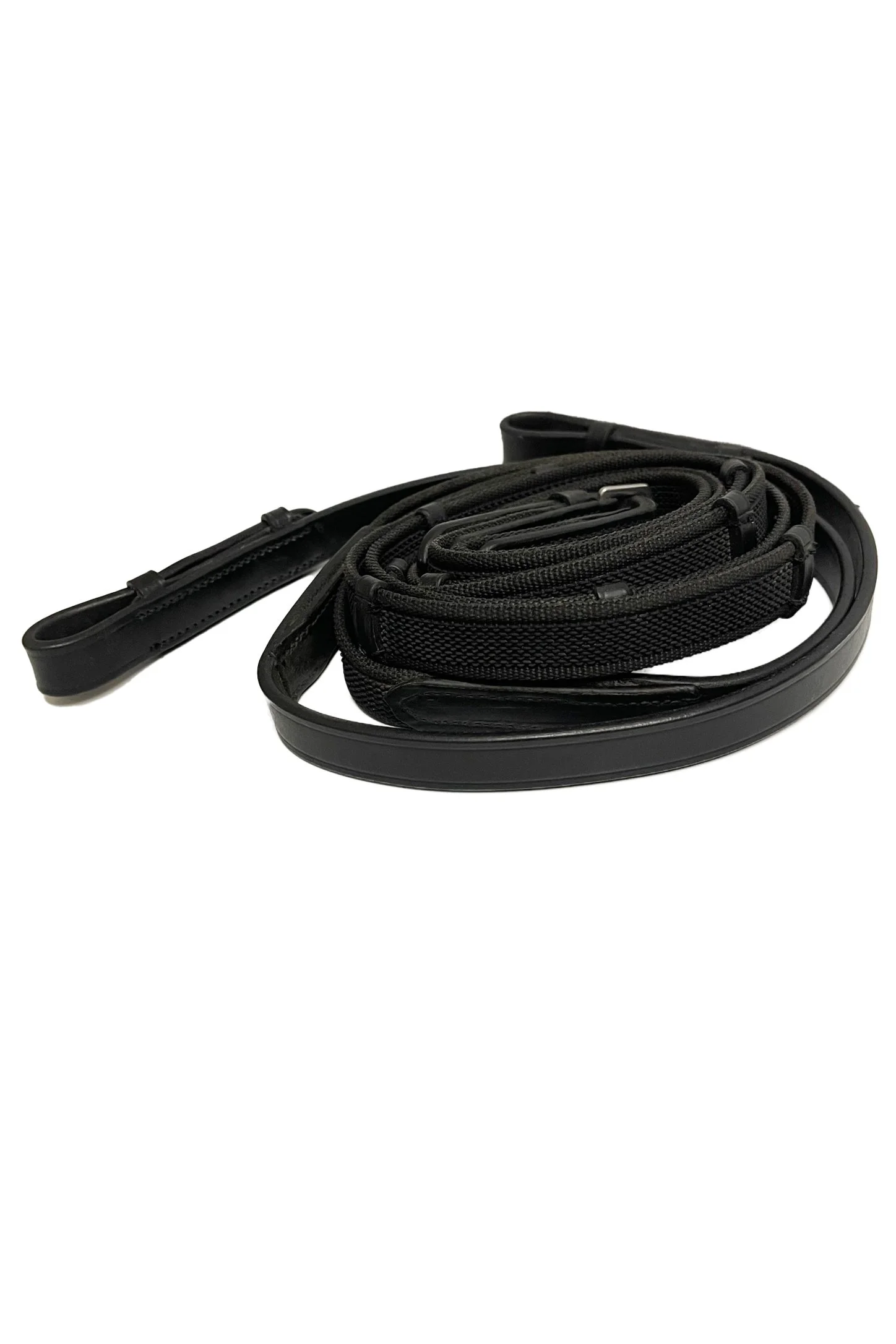 New Arrivals — 2nd Round Equestrian