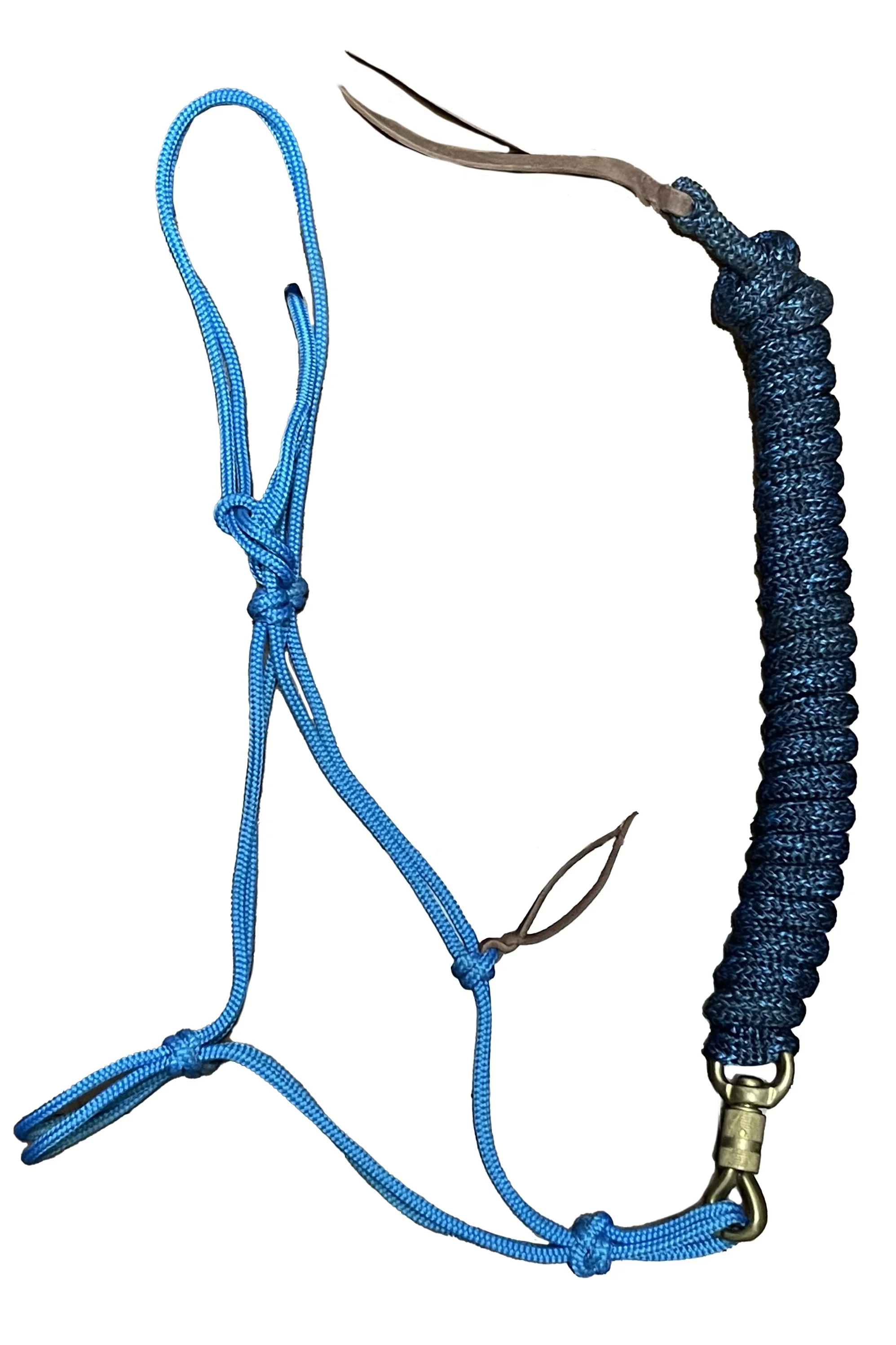 New Arrivals — 2nd Round Equestrian