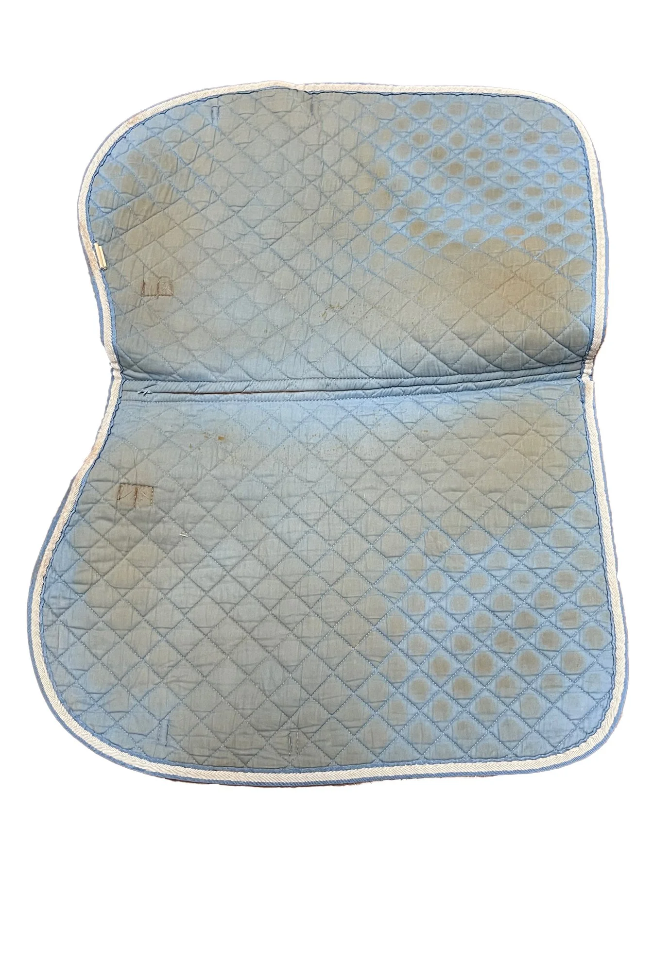 Store 2 — 2nd Round Equestrian